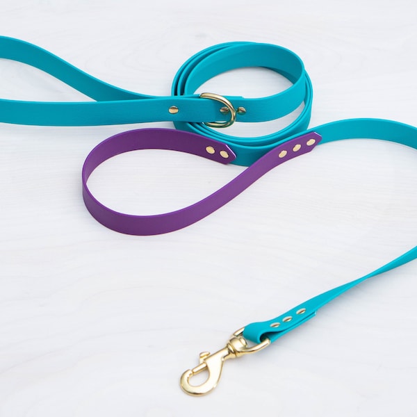 Biothane Dog Leash With Traffic Handle - Etsy