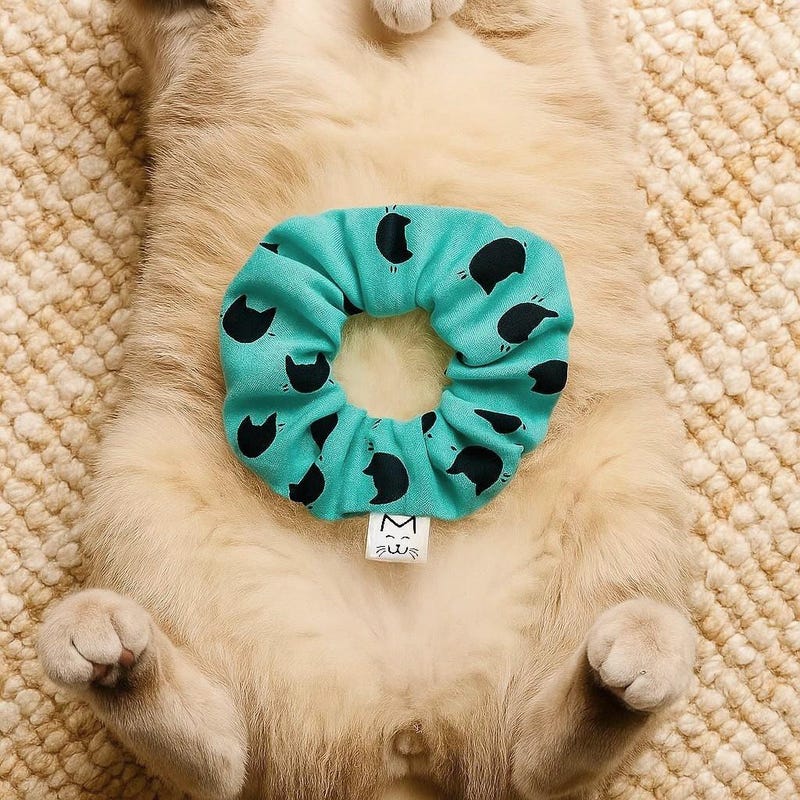 Cute Scrunchies - Etsy