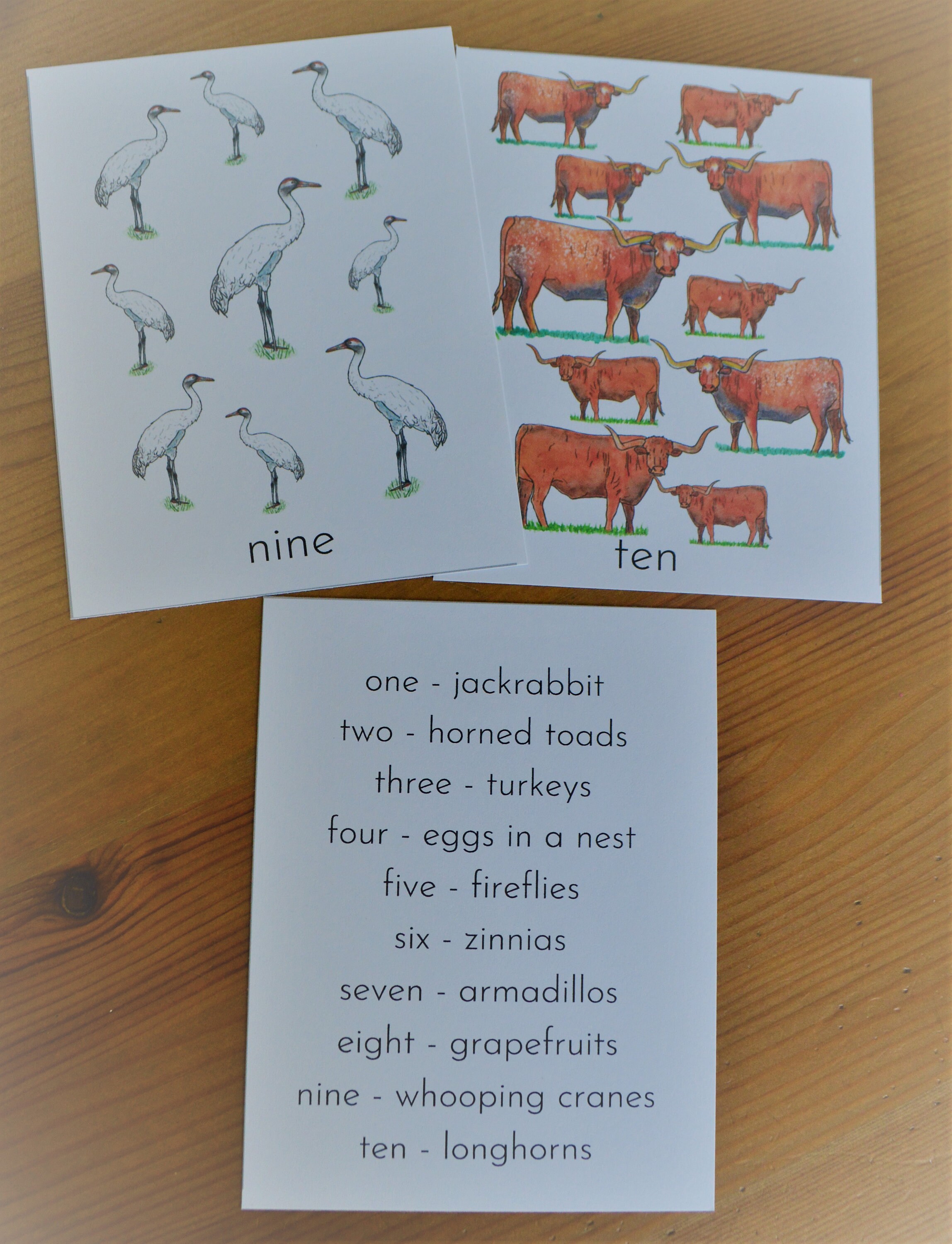 Homeschool Printable, Nature Counting Cards, Montessori Cards, Learning ...