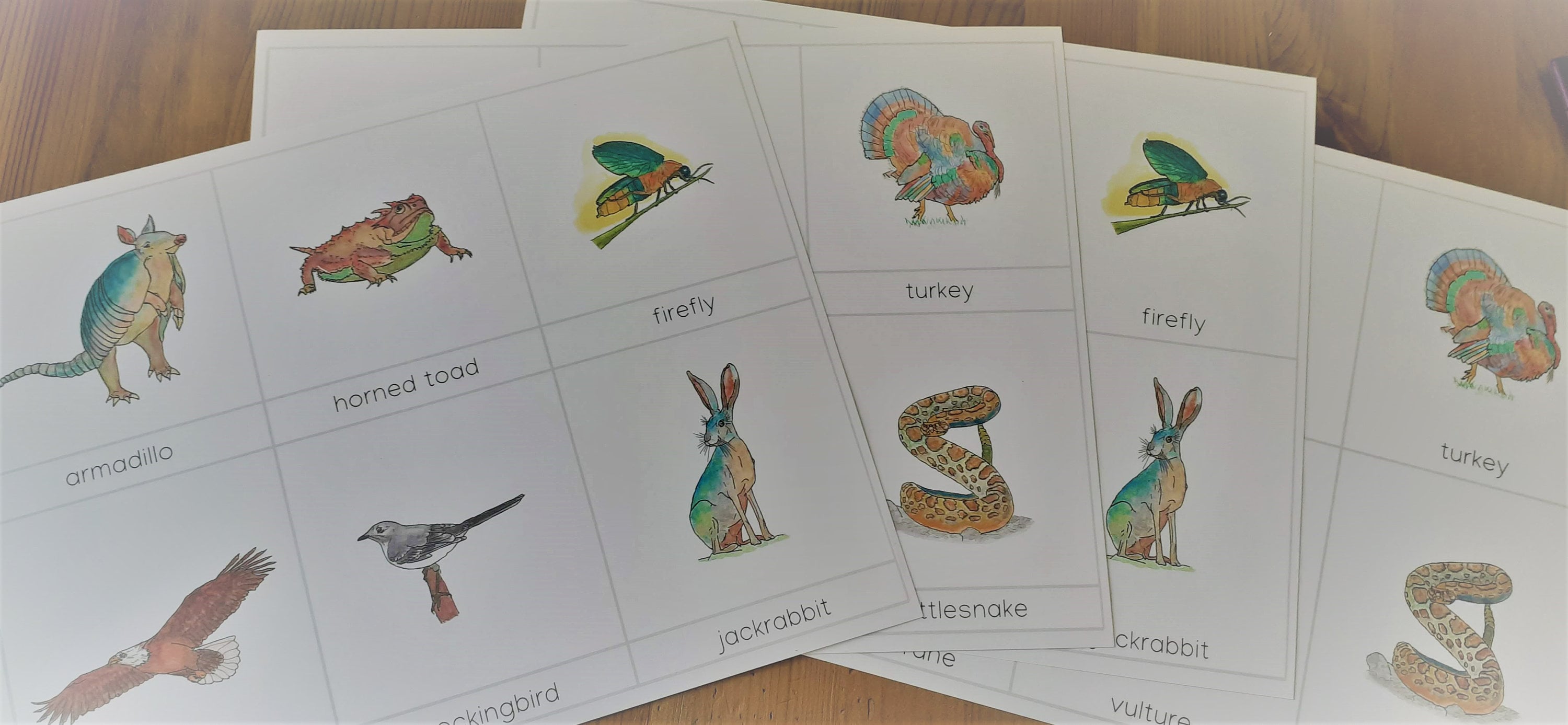 Texas Wildlife 3-part Cards, Montessori Cards, Learning Cards, Texas ...