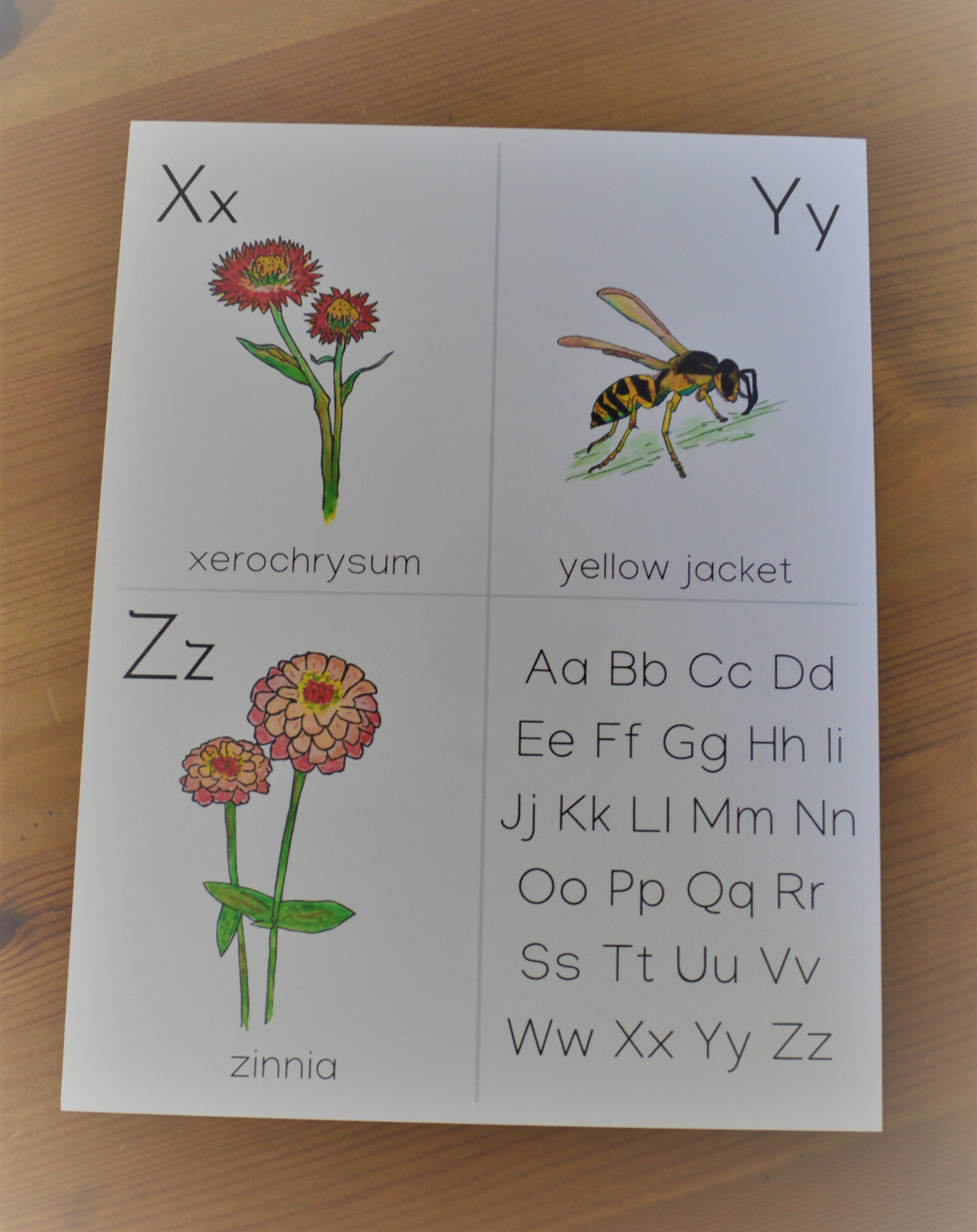 ABC Flashcards Printable, Alphabet Cards, Texas Abcs, Watercolor ...