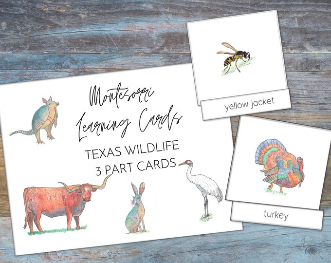 ABC Flashcards Printable, Alphabet Cards, Texas Abcs, Watercolor ...