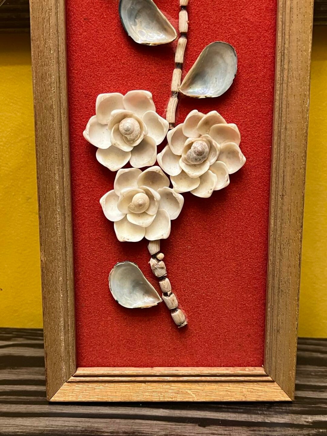 Vintage Sea Shell Wall Art, Rectangular Wall Hanging Red Background ...
