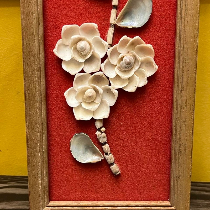 Sea Shell Art - Etsy