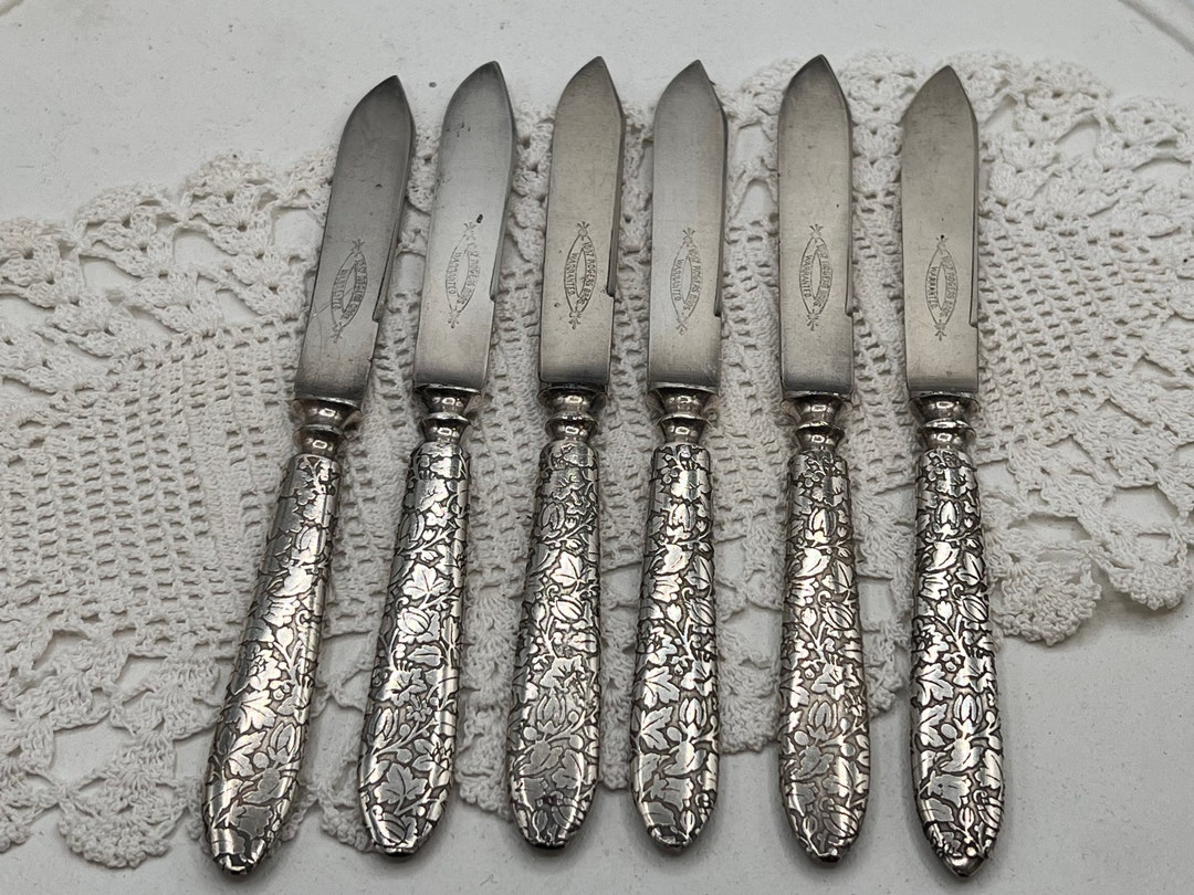 6 Vintage Butter Knives, Embossed Floral Handle,1847 Rogers Bros Silver ...