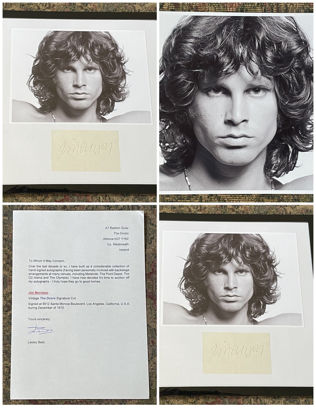 Beautifully Framed JIM MORRISON, the Doors, Hand SIGNED, Cut Signature ...