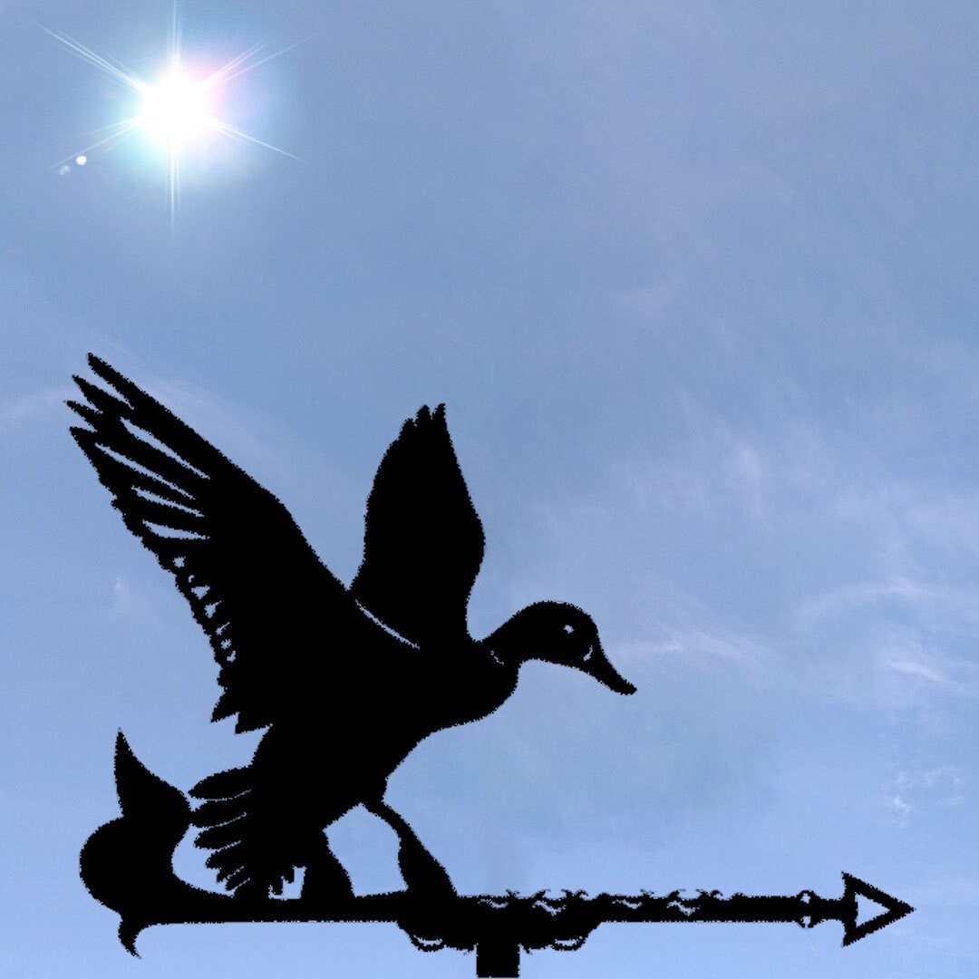 Duck Metal Weathervane, Weather Vane, Home Roof Decor, Bird, Birds - Etsy