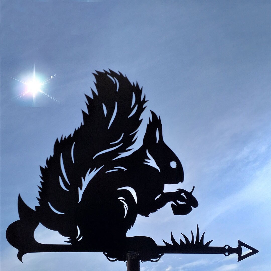 Squirrel Metal Weathervane, Weather Vane, Home Roof Decor - Etsy