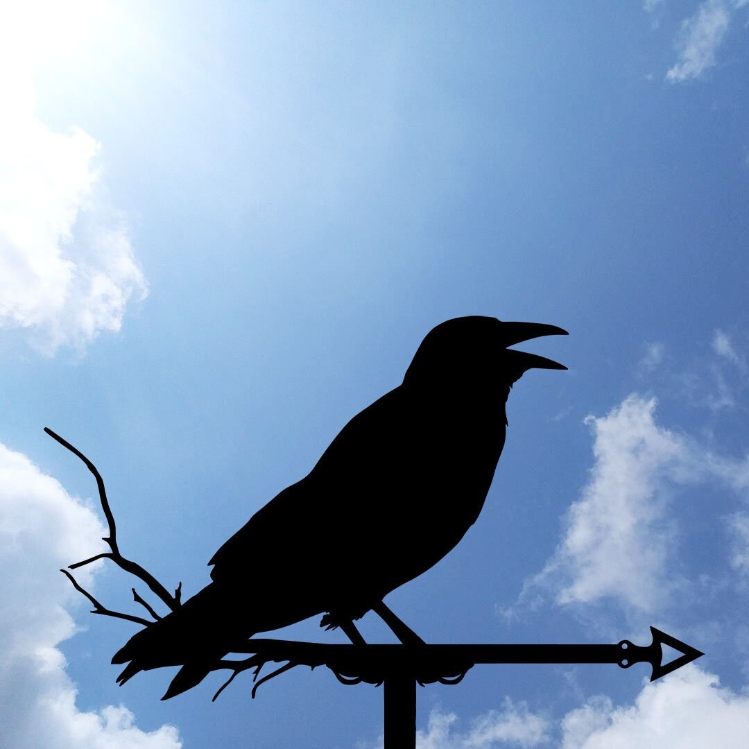 Crow Metal Weathervane, Weather Vane, Home Roof Decor, Raven, Corbie - Etsy