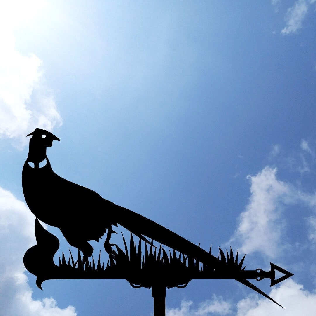 Pheasant Metal Weathervane, Bird Weather Vane, Home Roof Decor - Etsy