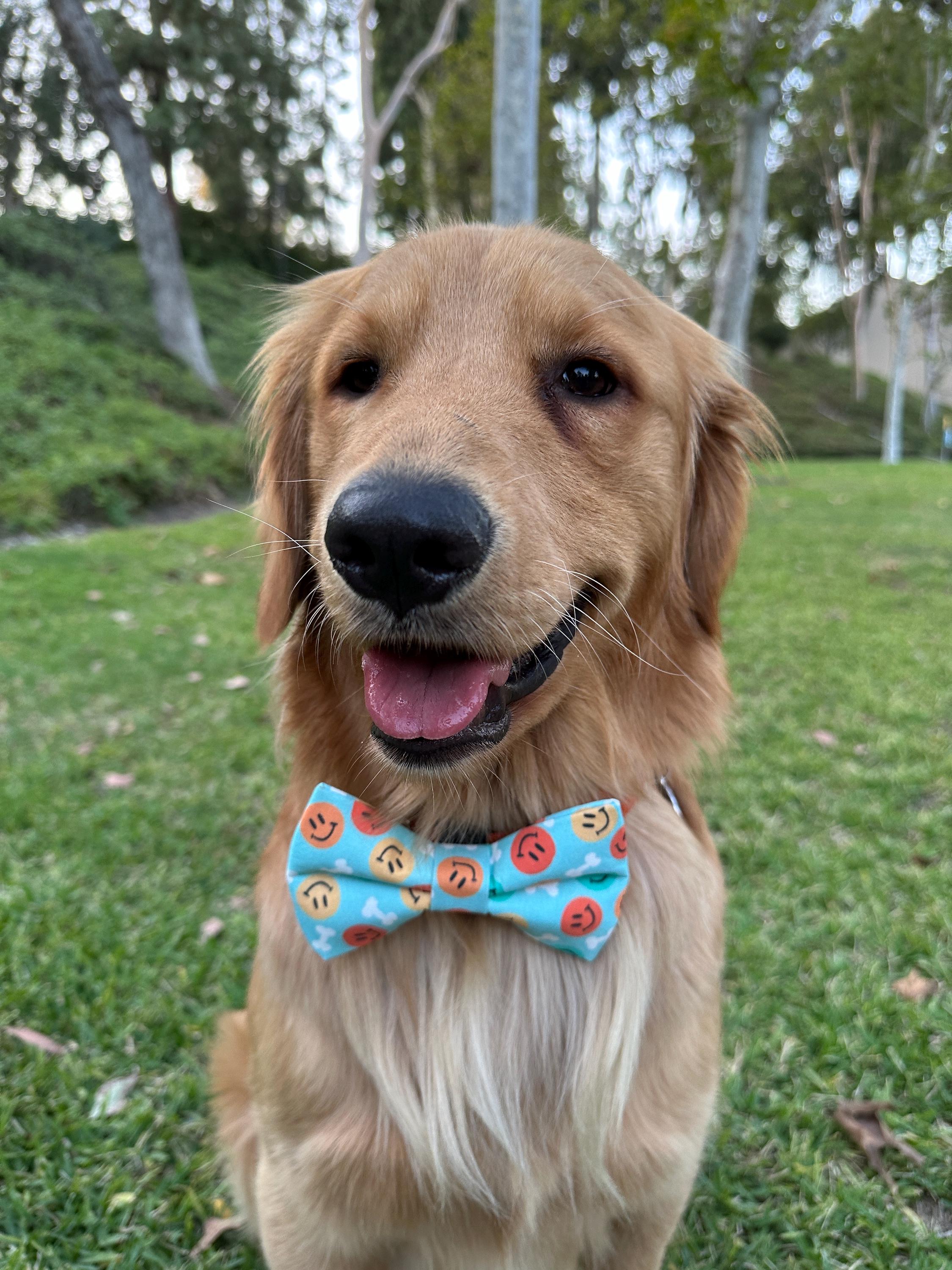 Smiley Face Dog Bow Tie, Smiley Dog Bow Tie, Dog Bowtie, Dog Bow Ties ...