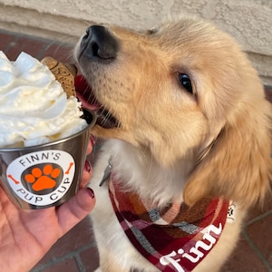 Mini Pup Cup, Pup Cup, Personalized Pup Cup, Reusable Stainless Pup Cup ...