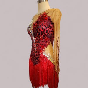 Red Latin Dance Dress: Rhinestone Fringe, Ballroom Competition Costume ...