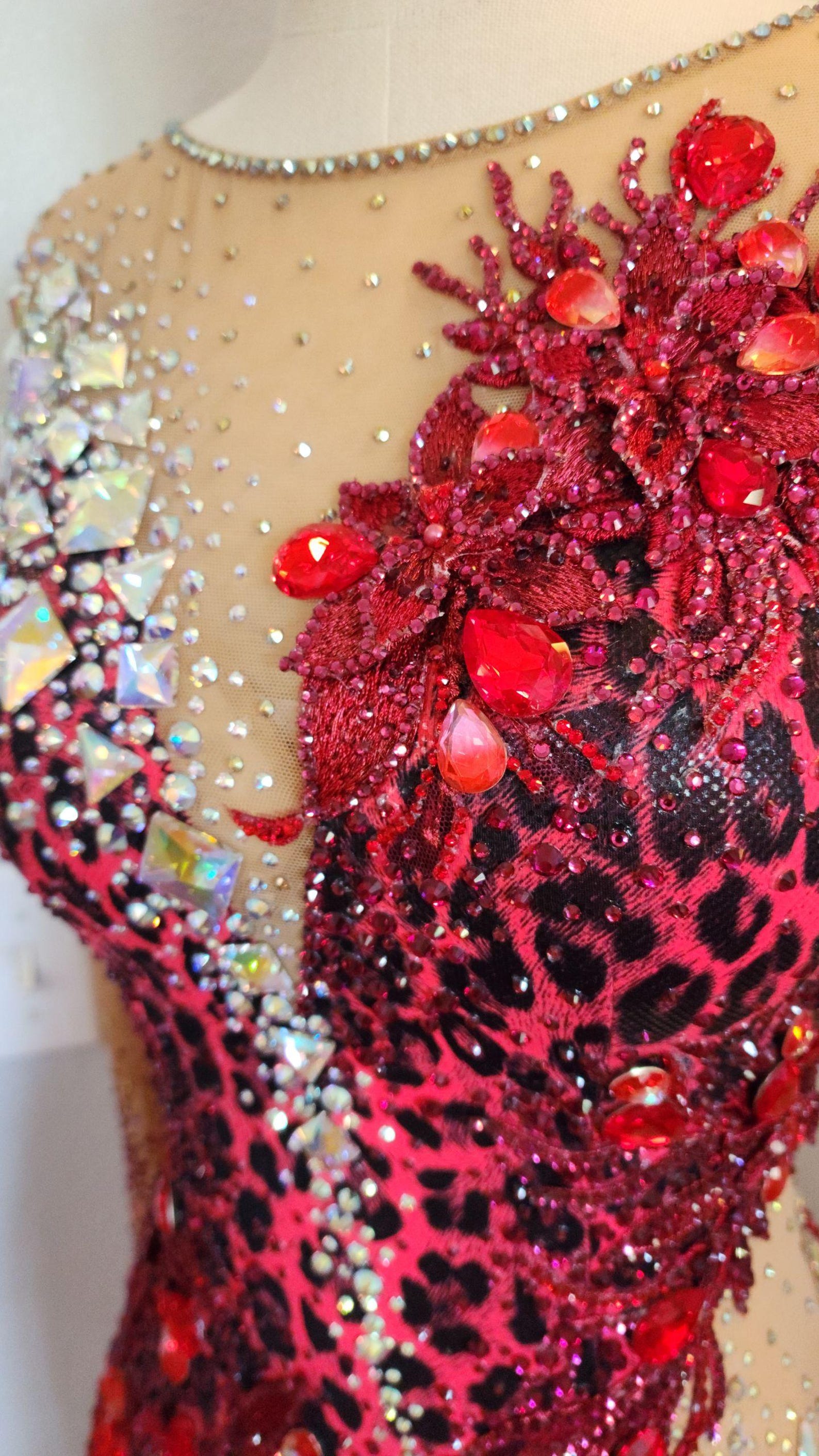 Red Latin Dance Dress: Rhinestone Fringe, Ballroom Competition Costume ...