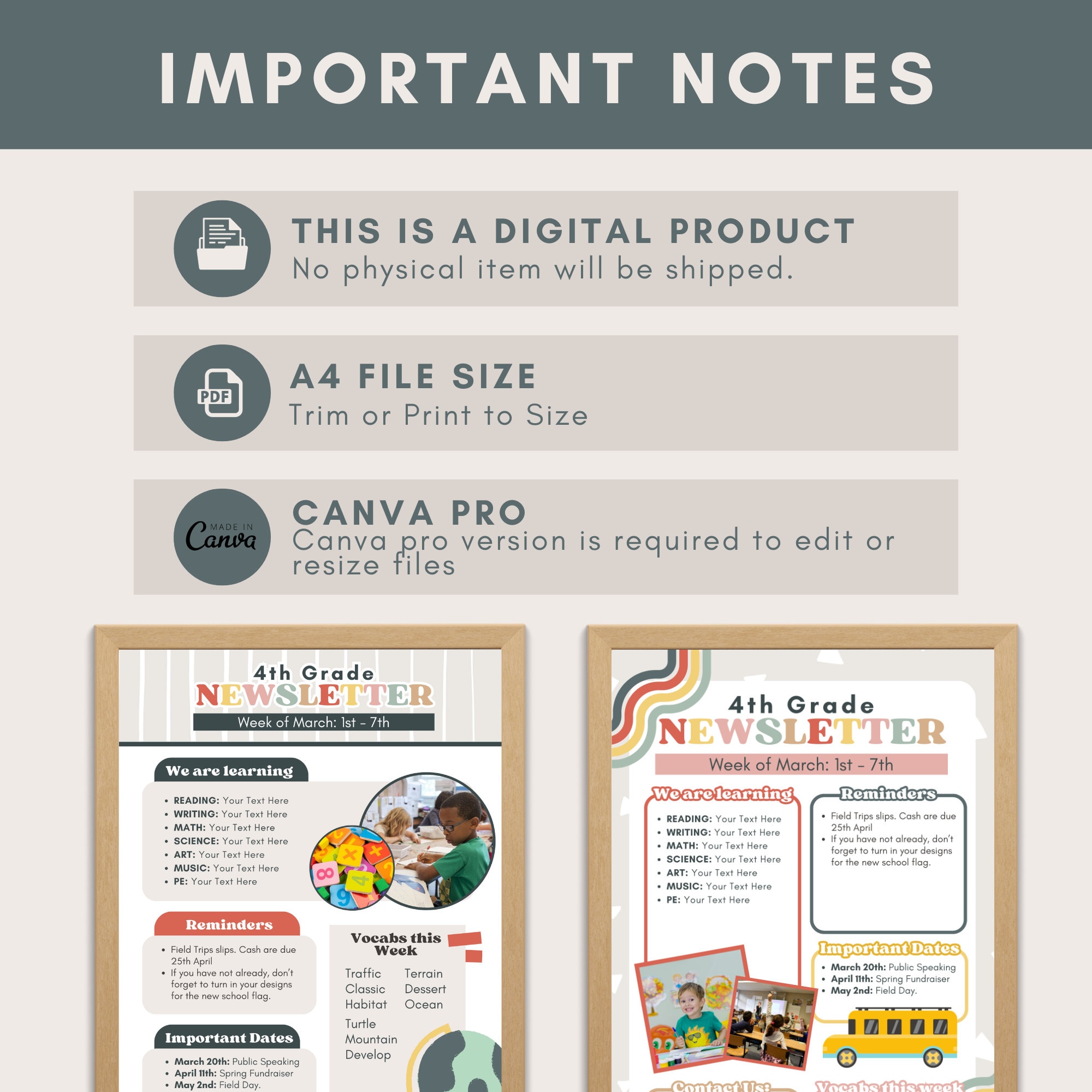 Editable Classroom Newsletter Back to School Class Announcement Modern ...