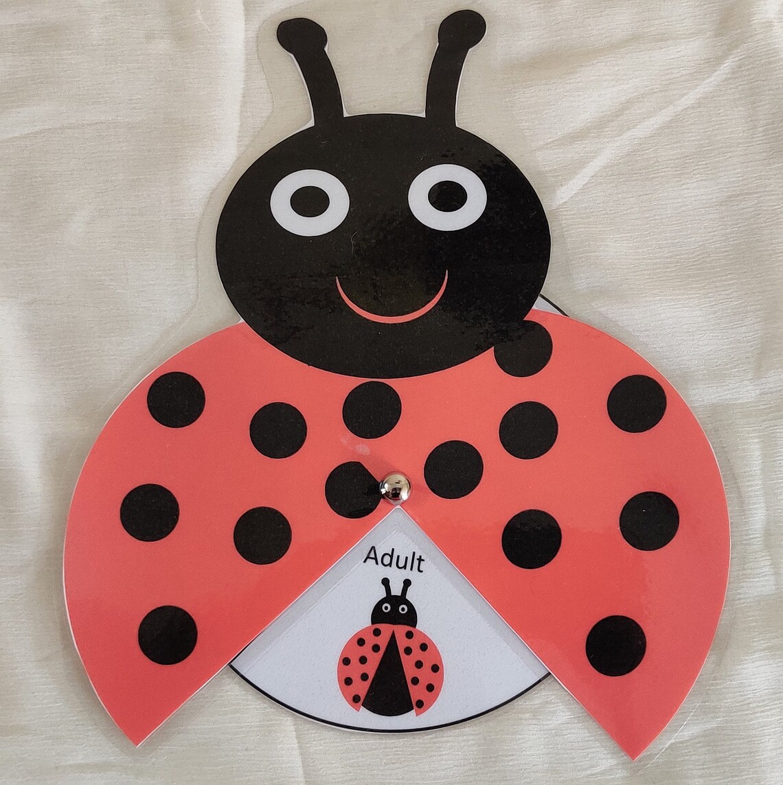 Lifecycle Activities Bugs & Insects Busy Book Interactive | Etsy