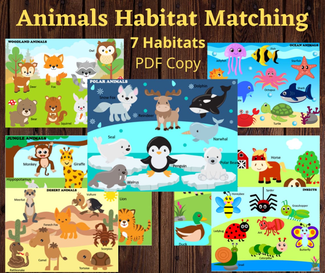 Animals Matching Habitats Matching Learning Animals Animal - Etsy India