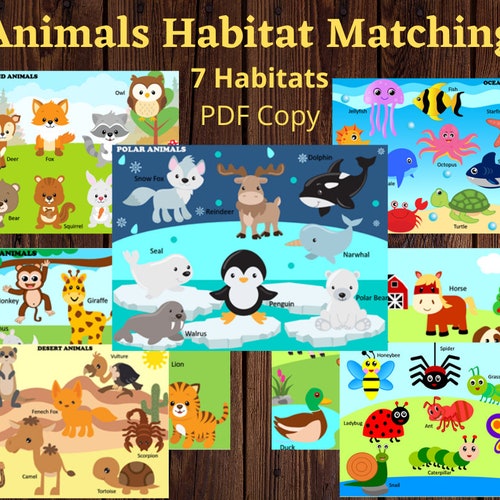 Animals and Habitats Activities - Etsy