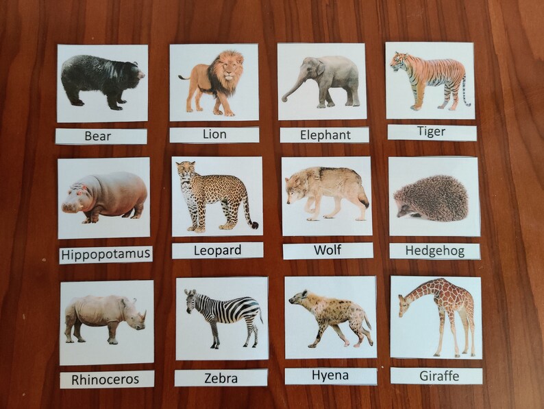 Buy Wild Animals Pattern Match Montessori Homeschooling Quiet Online in ...