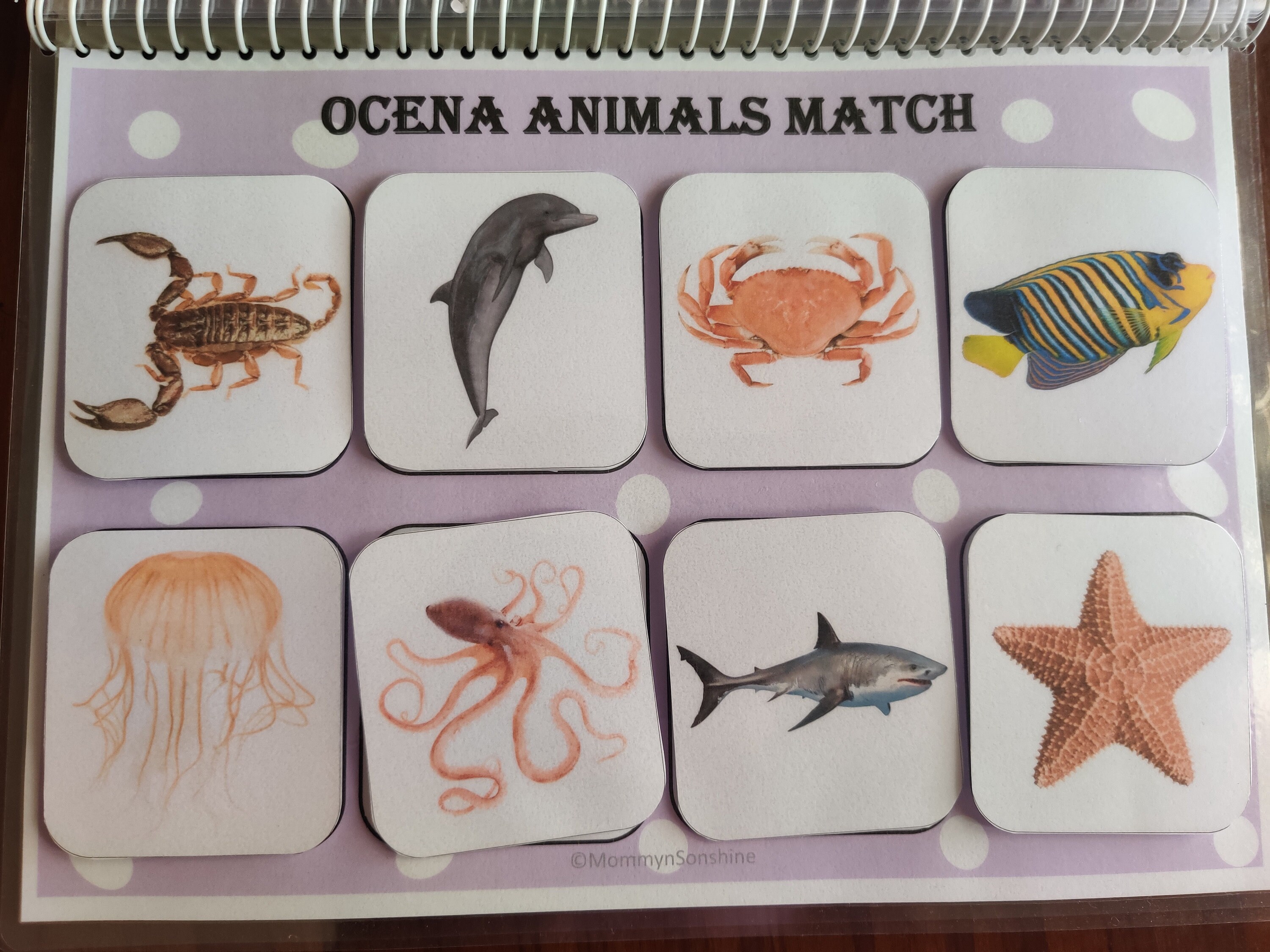 Montessori Matching Binder Busy Book for 1 Year Olds - Etsy