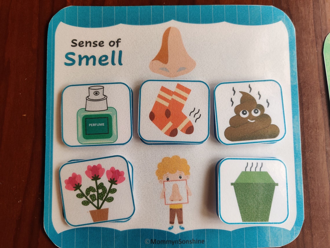 Five Senses Matching, Homeschool Resource, 5 Senses Sorting, Busy Bag ...