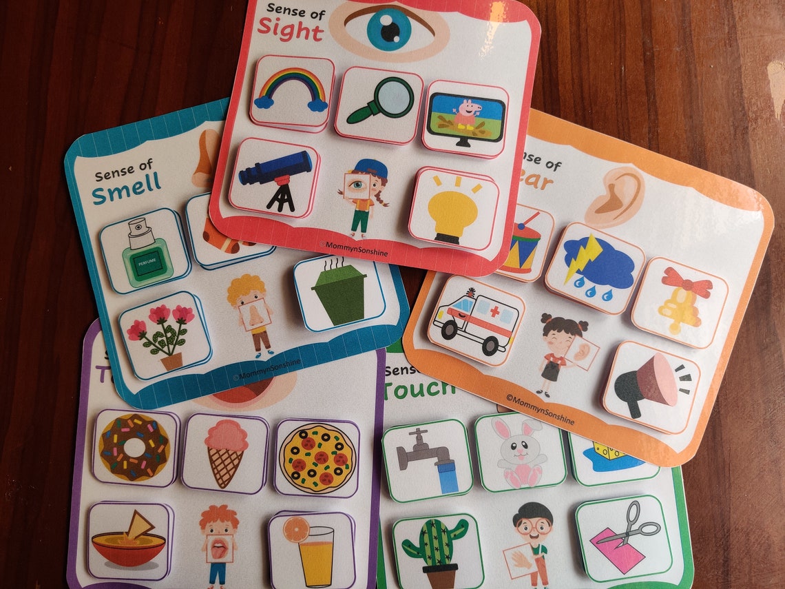 Five Senses Matching Homeschool Resource 5 Senses Sorting - Etsy