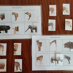 Buy Wild Animals Pattern Match Montessori Homeschooling Quiet Time ...