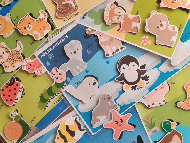 Animals Matching Habitats Matching Learning Animals Animal | Etsy Canada