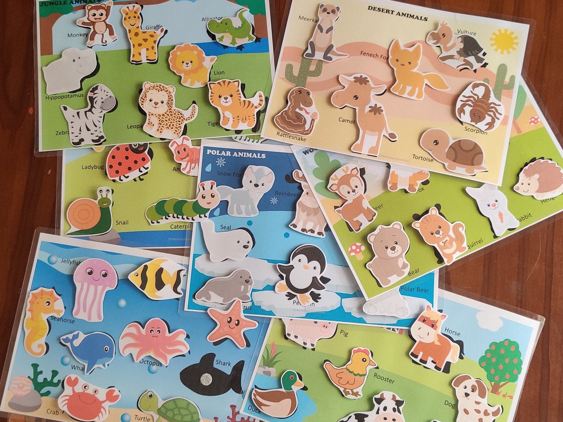 Animals Matching Habitats Matching Learning Animals Animal - Etsy Canada