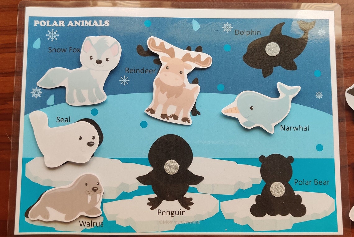 Animals Matching Habitats Matching Learning Animals Animal - Etsy Canada