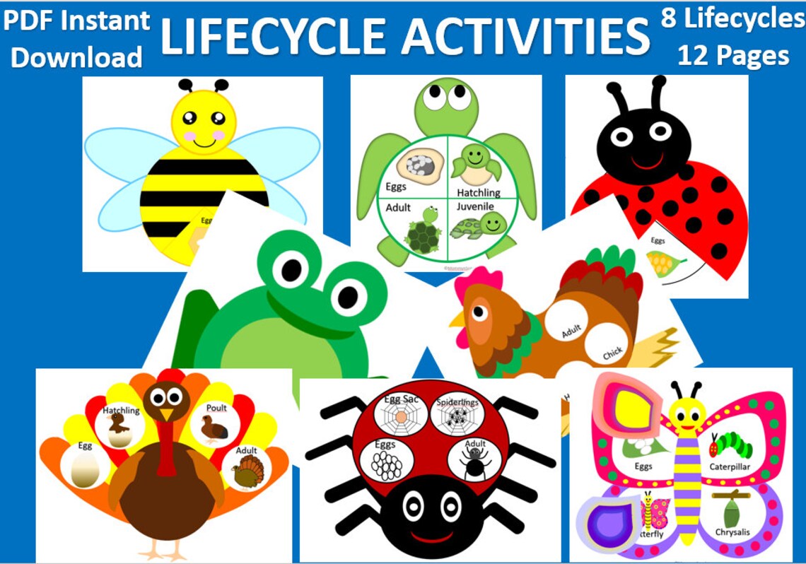 Lifecycle Activities Bugs & Insects Busy Book Interactive | Etsy