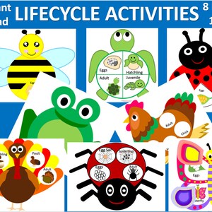 Buy Lifecycle Activities Bugs & Insects Busy Book Interactive Learning ...