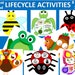 Buy Lifecycle Activities Bugs & Insects Busy Book Interactive Learning ...