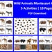 Buy Wild Animals Pattern Match Montessori Homeschooling Quiet Online in ...