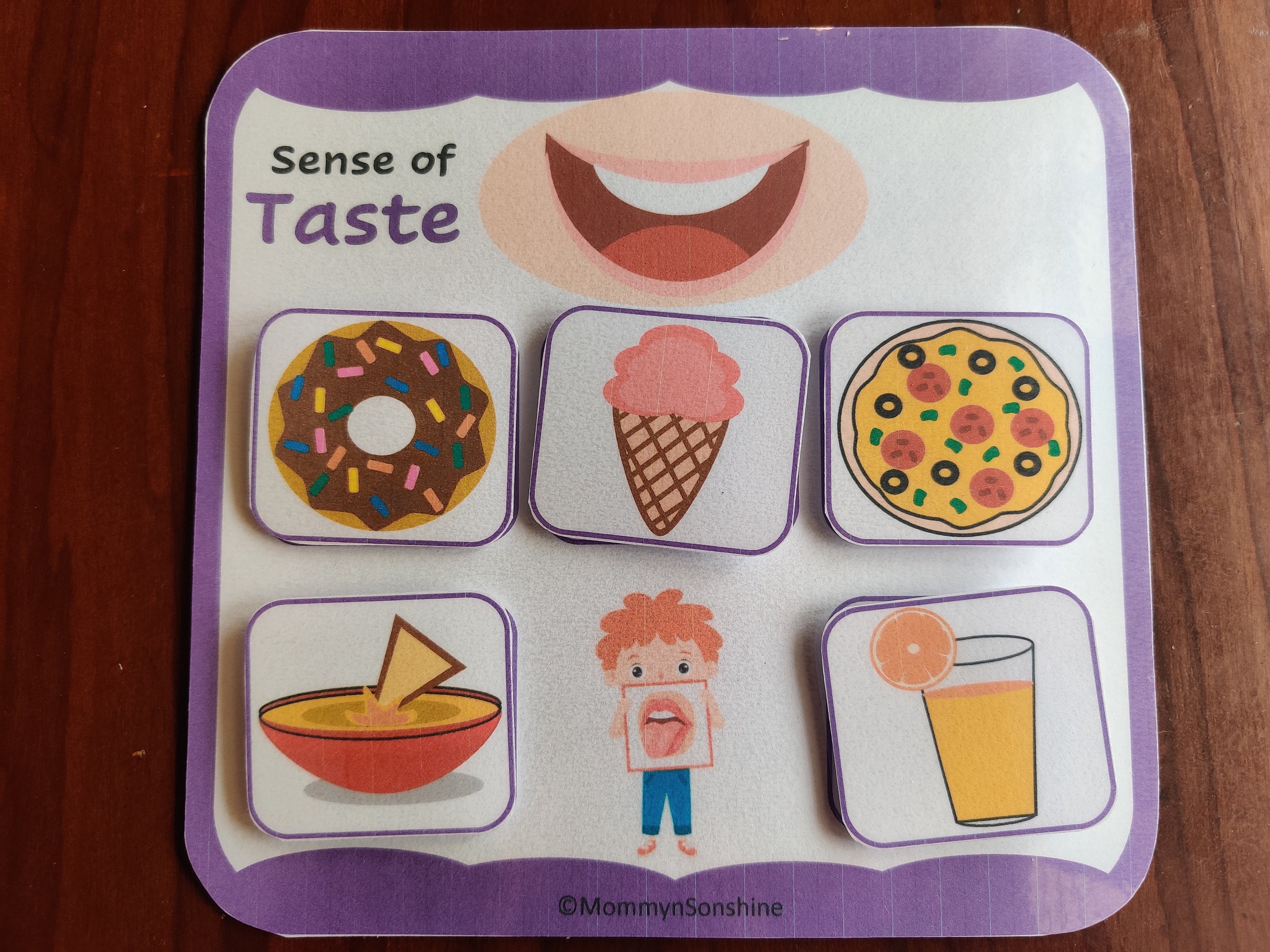 Five Senses Matching, Homeschool Resource, 5 Senses Sorting, Busy Bag ...