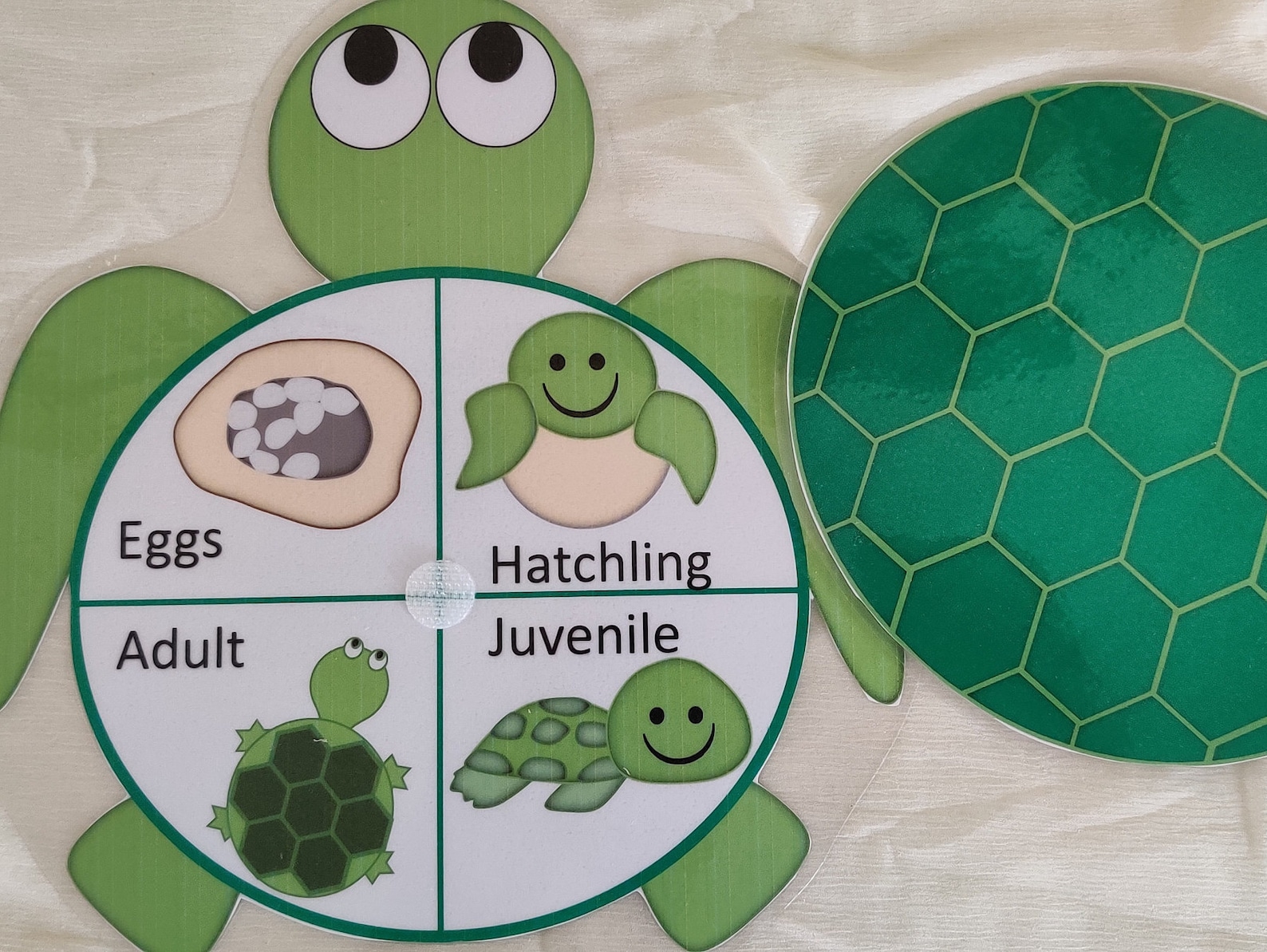 Lifecycle Activities Bugs & Insects Busy Book Interactive | Etsy