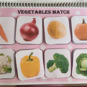 Montessori Matching Binder, Busy Book for 1+ Year Olds, Learning Binder ...