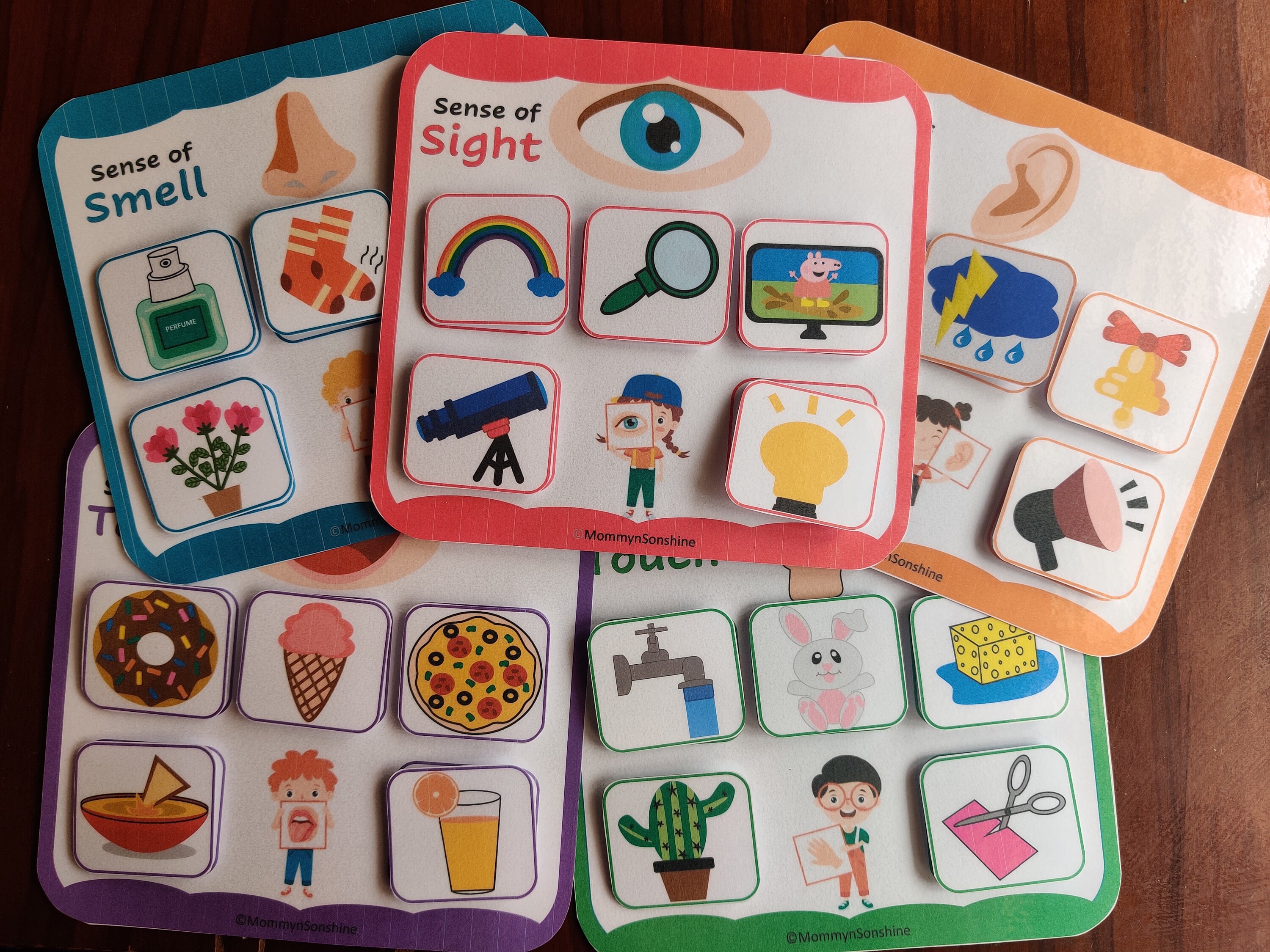 Five Senses Matching, Homeschool Resource, 5 Senses Sorting, Busy Bag ...