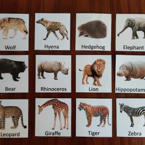 Buy Wild Animals Pattern Match Montessori Homeschooling Quiet Time ...