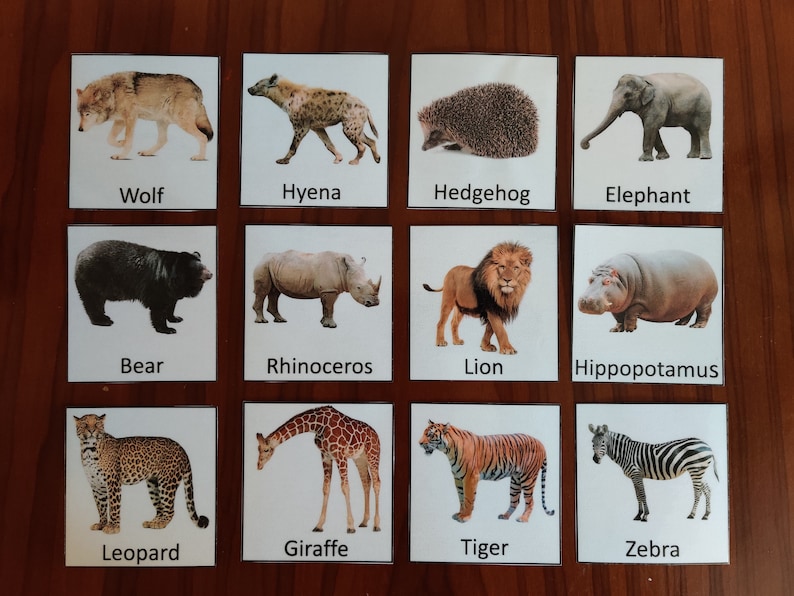 Buy Wild Animals Pattern Match Montessori Homeschooling Quiet Online in ...