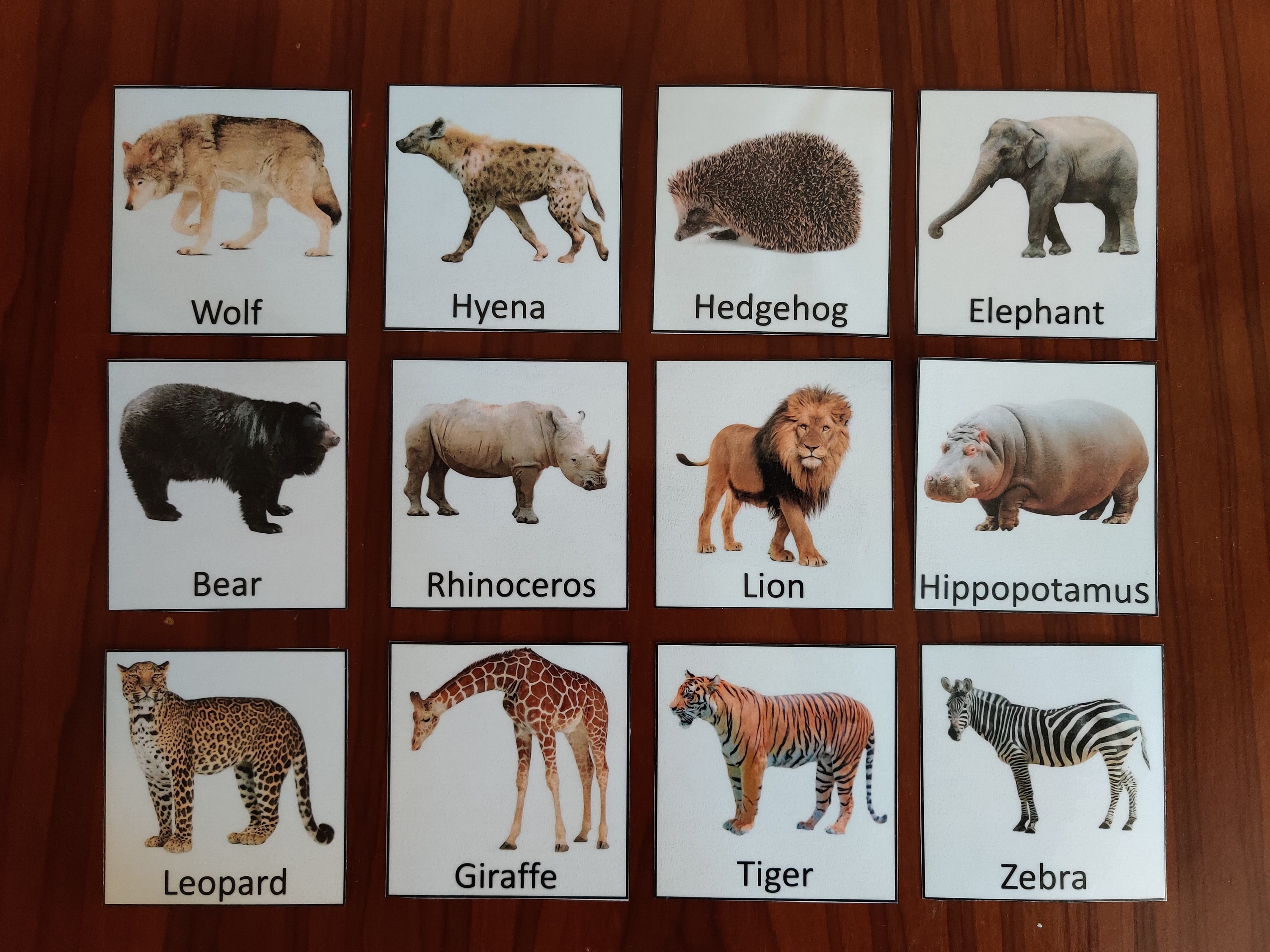 Buy Wild Animals Pattern Match Montessori Homeschooling Quiet Time ...