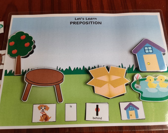 Buy Wild Animals Pattern Match Montessori Homeschooling Quiet Time ...