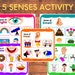 Five Senses Matching, Homeschool Resource, 5 Senses Sorting, Busy Bag ...