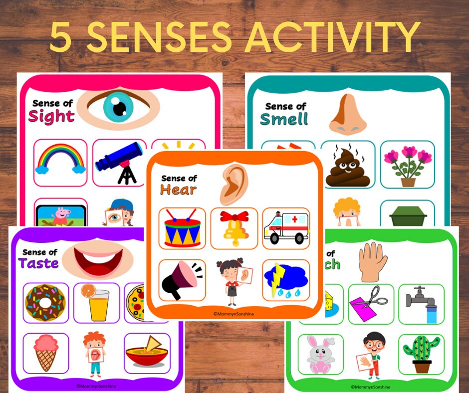 Five Senses Matching, Homeschool Resource, 5 Senses Sorting, Busy Bag ...
