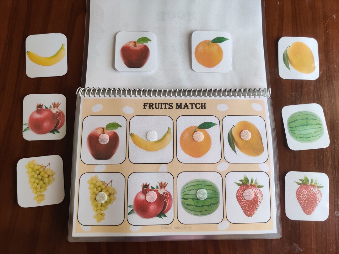 Montessori Matching Binder, Busy Book for 1+ Year Olds, Learning Binder ...