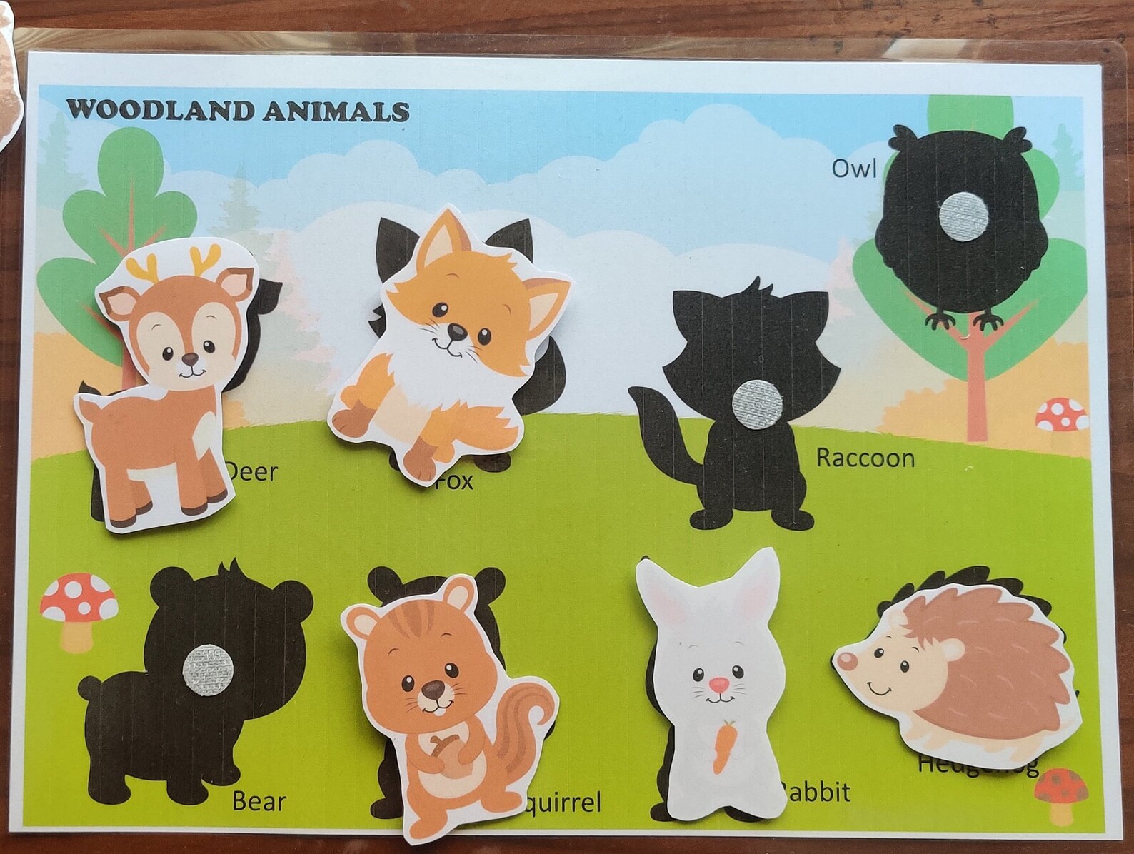 Animals Matching Habitats Matching Learning Animals Animal - Etsy Canada