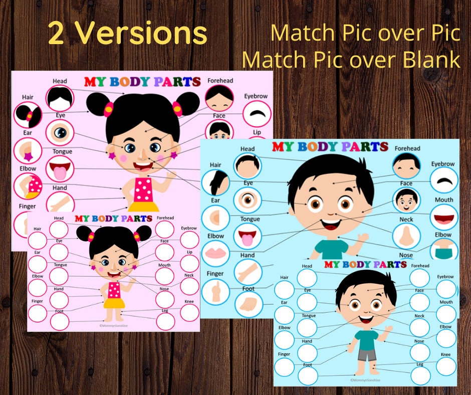 My Body Parts Busy Book, Busy Book Printable for Preschooler, My Body ...