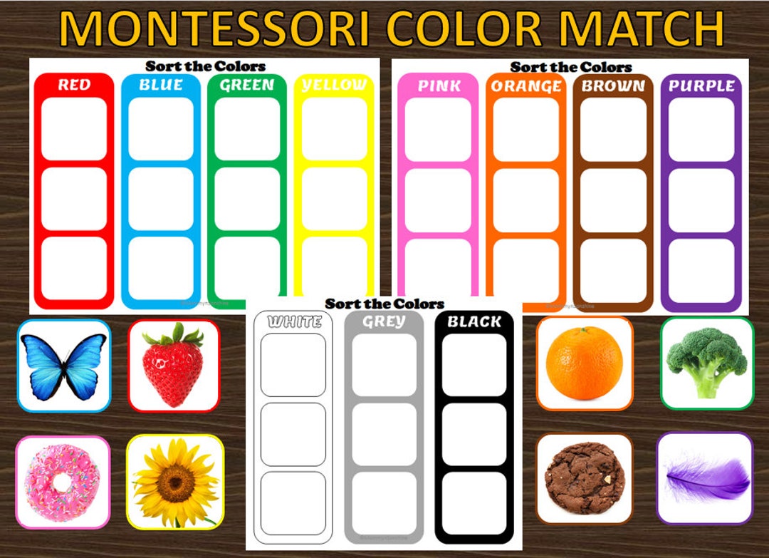 Montessori Color Match, Montessori Color Sorting Activity, Montessori ...