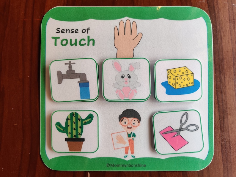 Five Senses Matching, Homeschool Resource, 5 Senses Sorting, Busy Bag ...