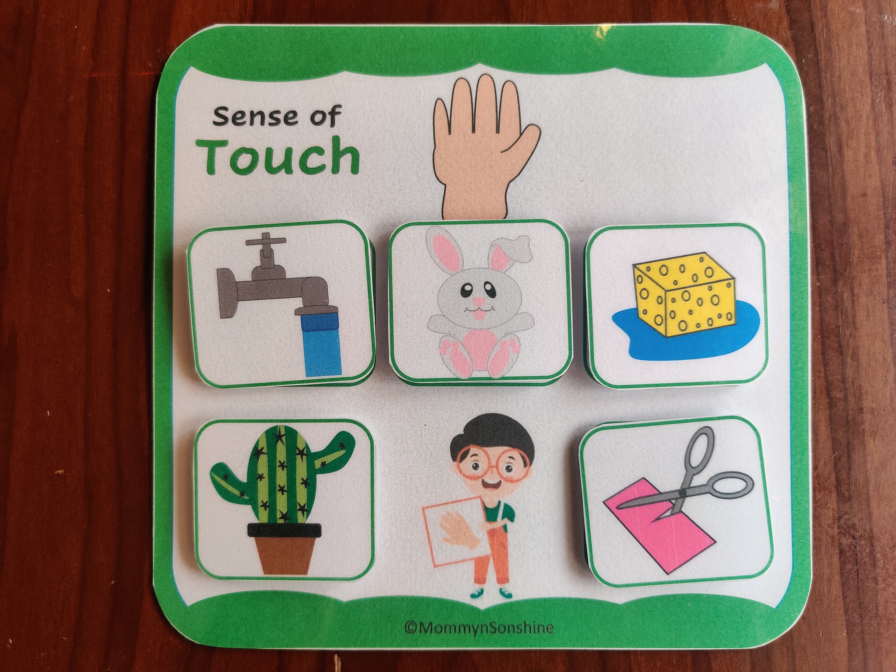 Five Senses Matching, Homeschool Resource, 5 Senses Sorting, Busy Bag ...